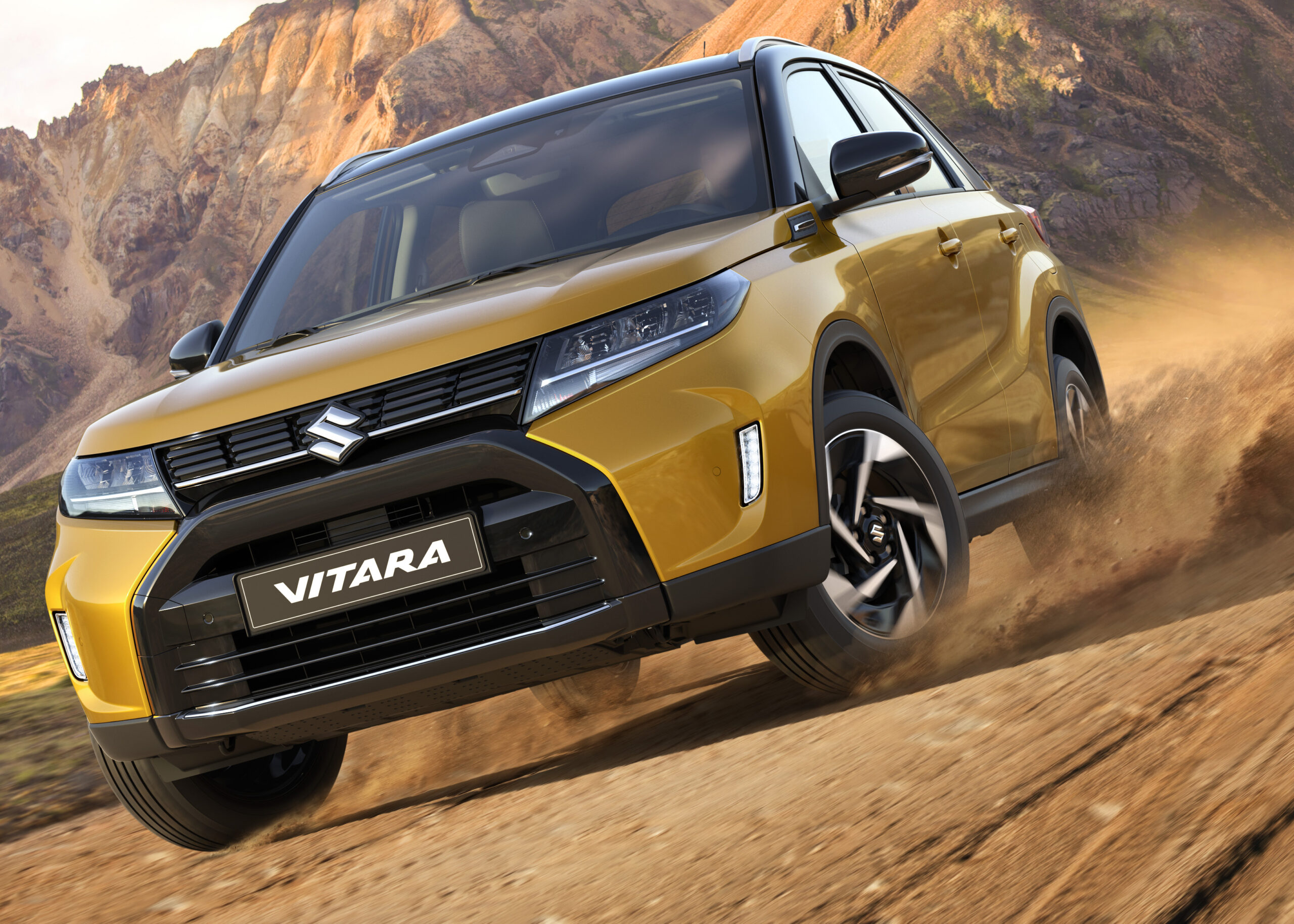 Suzuki vozila | A.C. Integra